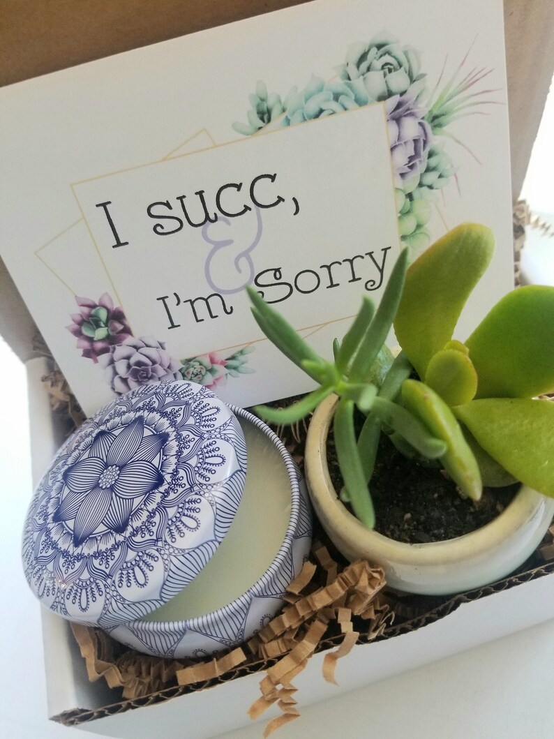 I Succ I'm Sorry Mini Gift Box. Send an Apology Gift - Etsy