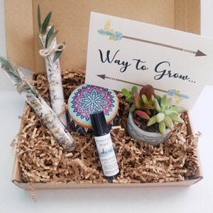 Way to Grow Congratulation Gift Box, Send a Gift, Care Package, Live ...