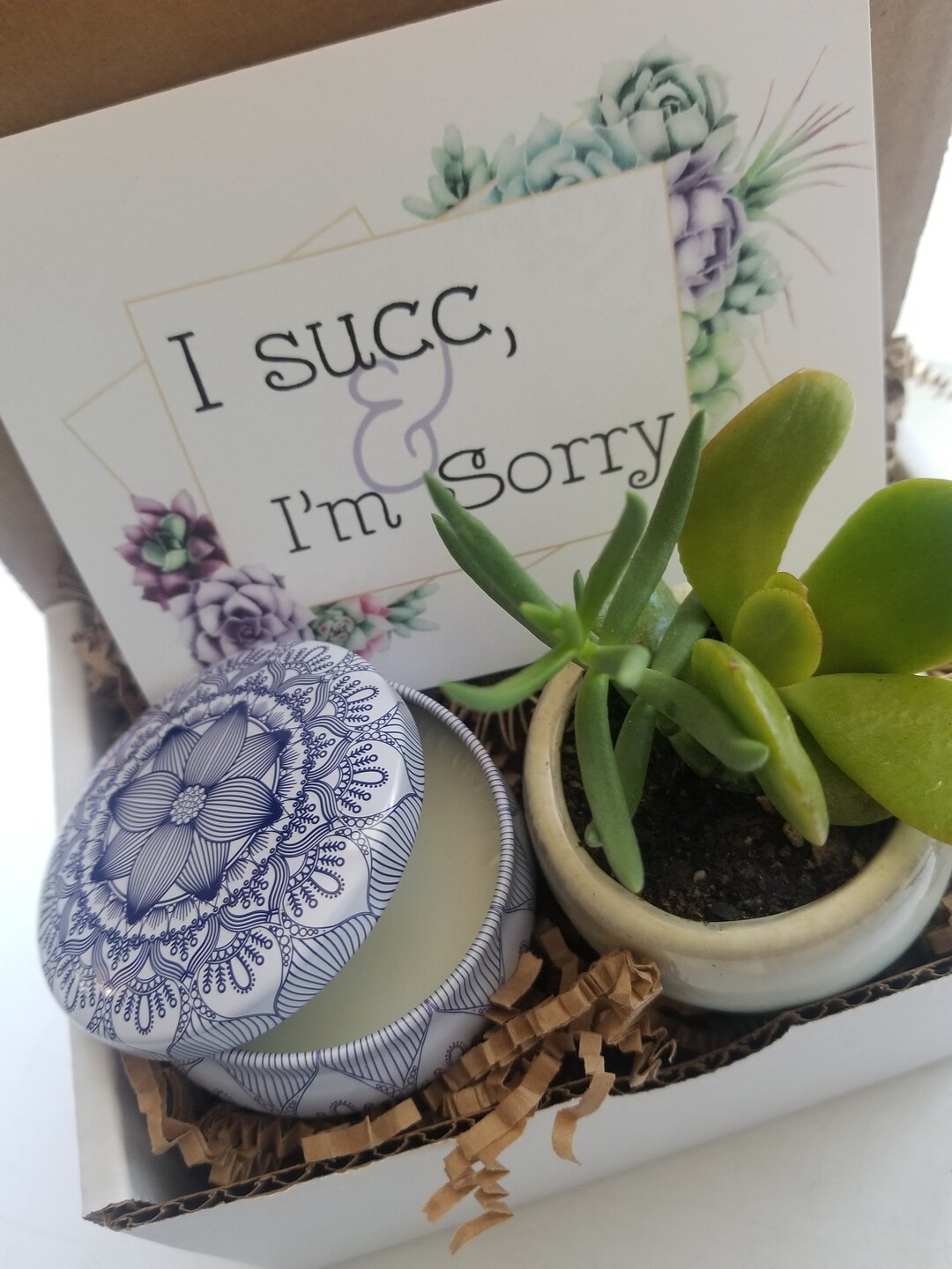 I Succ - I'm Sorry Mini Gift Box. Send an Apology Gift, Live Succulent ...