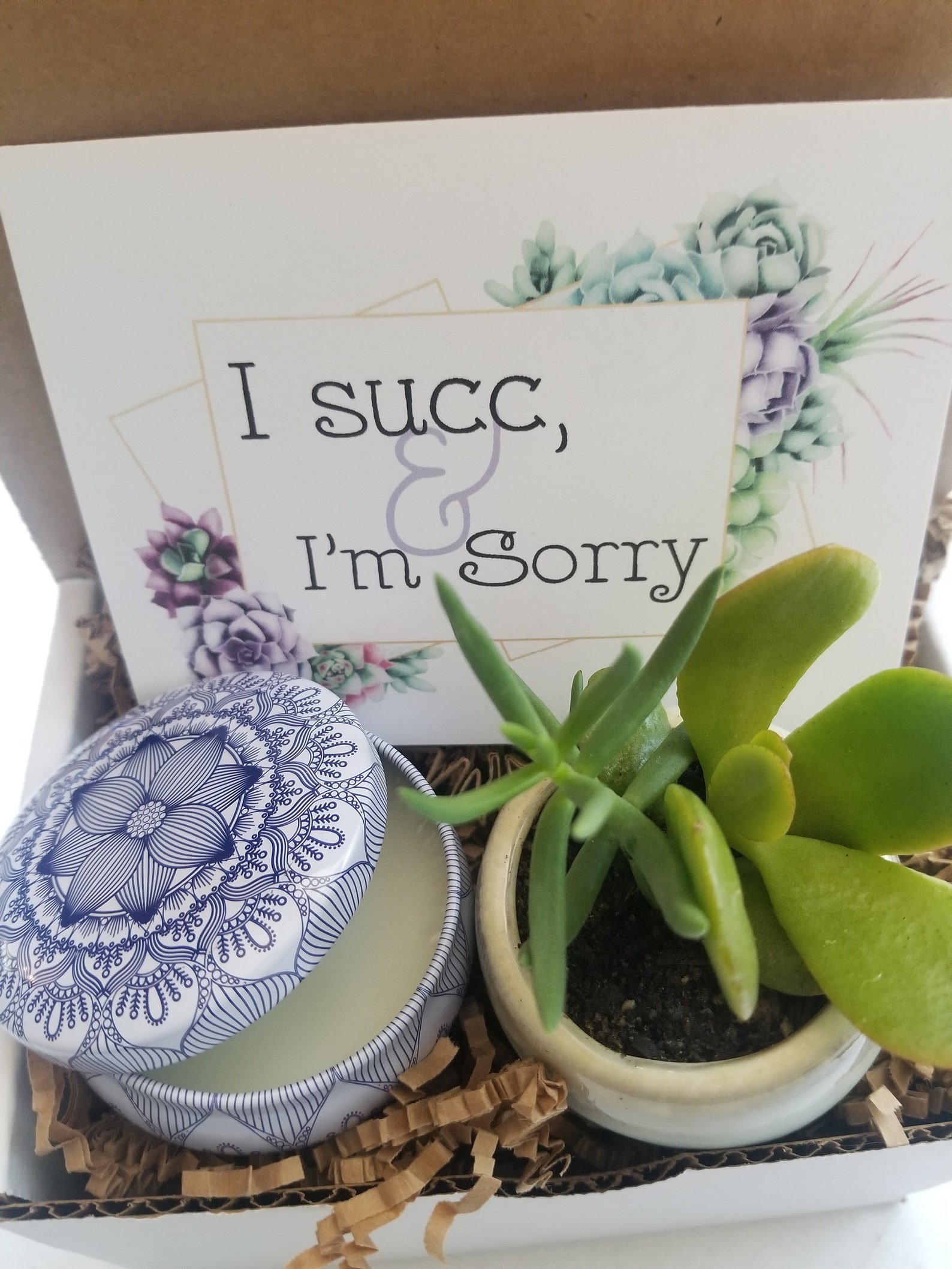 I Succ - I'm Sorry Mini Gift Box. Send an Apology Gift, Live Succulent ...