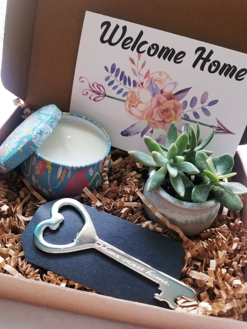 New Home Gift Box, Send a Gift, Housewarming Gift Set, Live Succulent ...