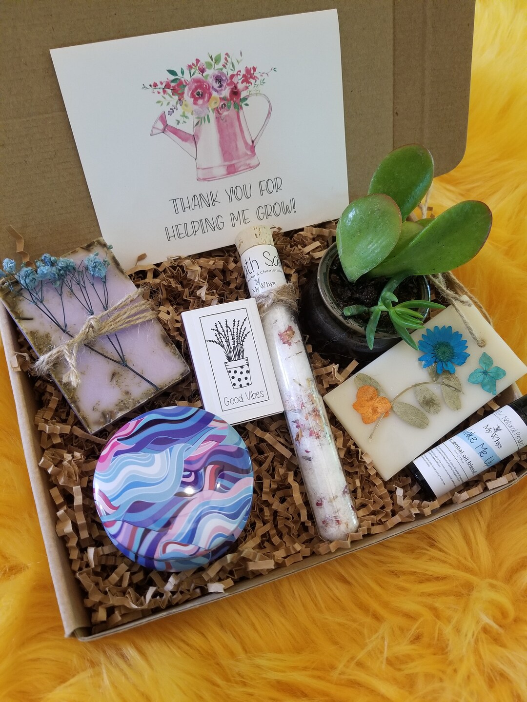 Teacher Appreciation Gift Box, Send a Care Package, Live Succulent ...