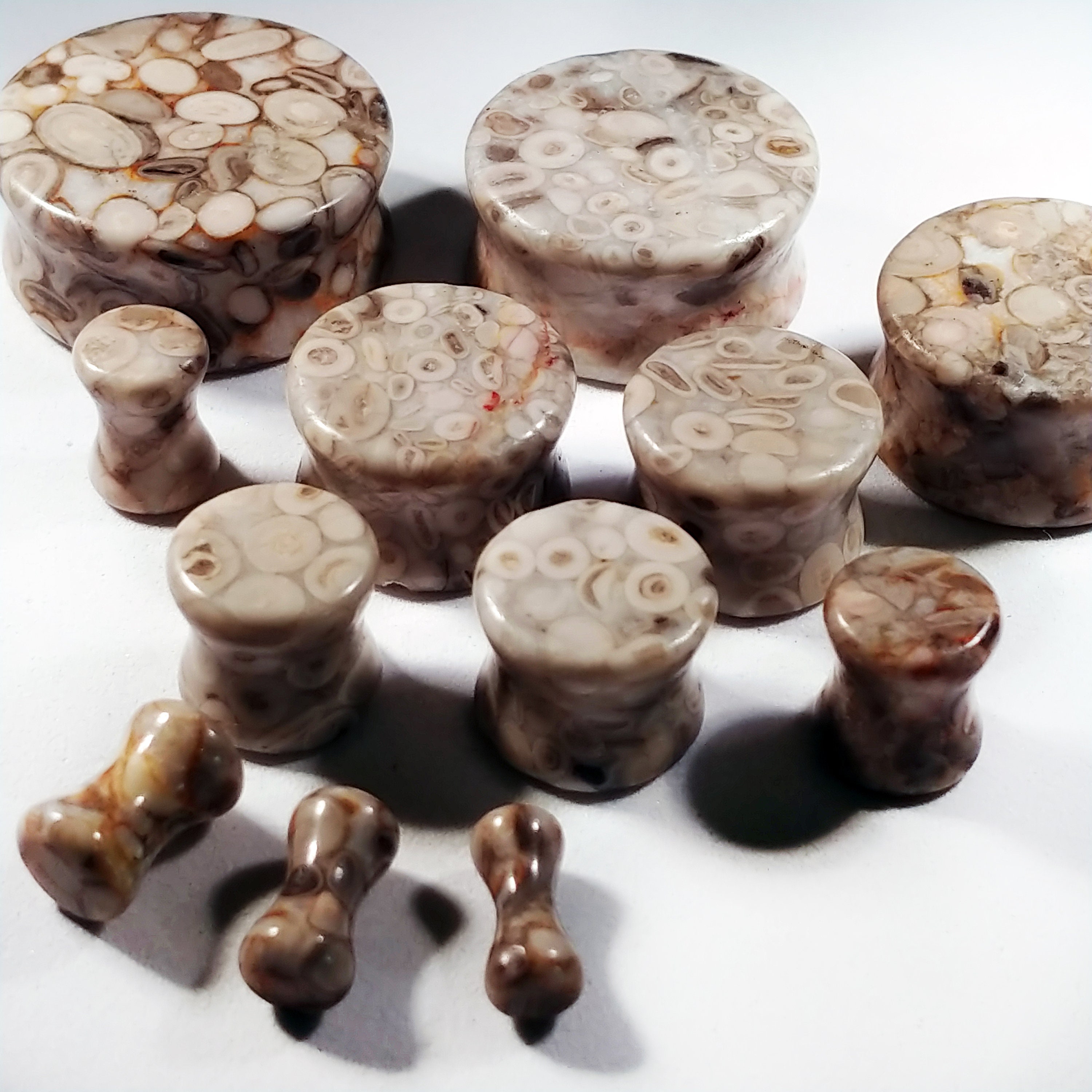 Stone Plugs Gauges Lily Fossil Stone Plugs Double Flare | Etsy