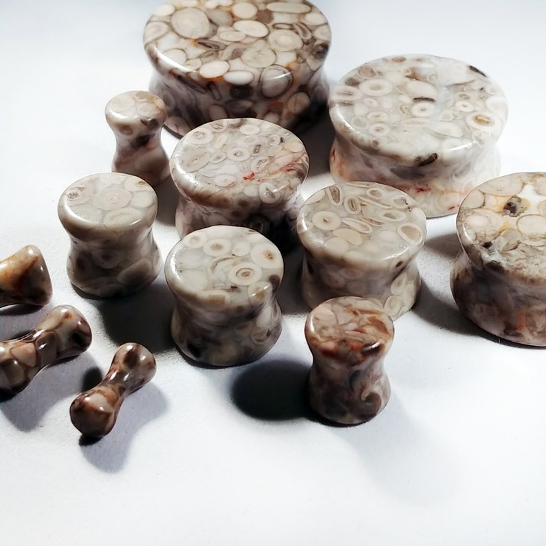 Stone Plugs Gauges Lily Fossil Stone Plugs Double Flare - Etsy