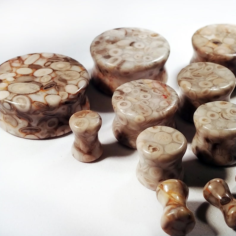 Stone Plugs Gauges Lily Fossil Stone Plugs Double Flare - Etsy