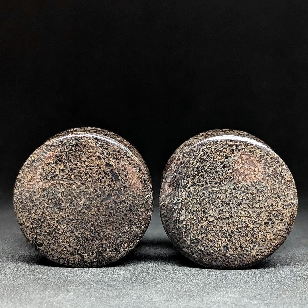 25mm Dinosaur Bone Double Flare Plugs for Stretched Ears. - Etsy