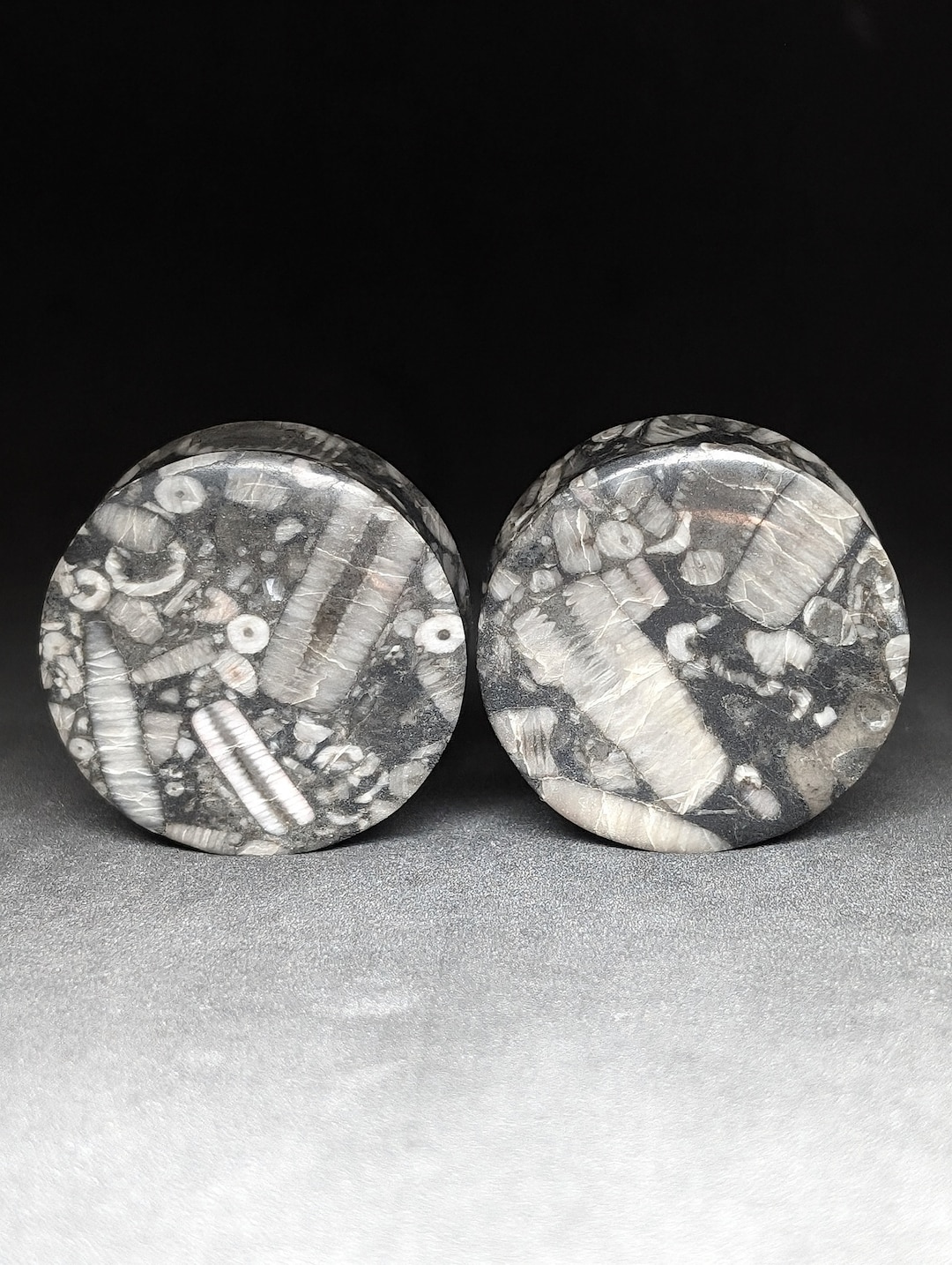 30mm Crinoid Fossil Double Flare Plugs for Stretched Ears - Etsy