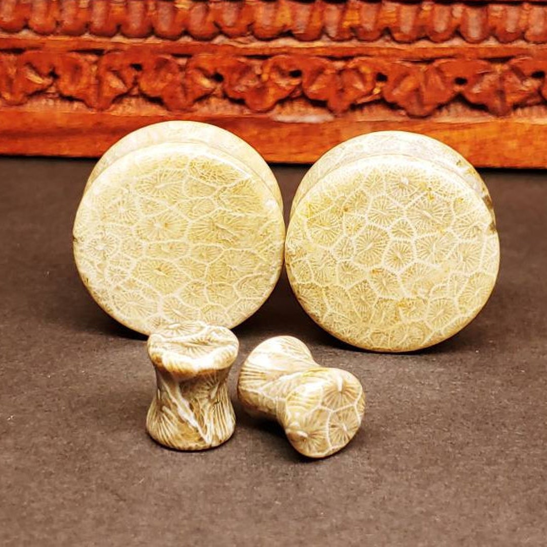 Stone Plugs Gauges - Fossilized Coral Stone Plugs - Double Flare Body ...