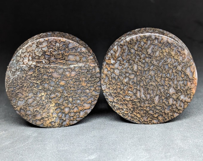 25mm Dinosaur Bone Double Flare Plugs for Stretched Ears. - Etsy