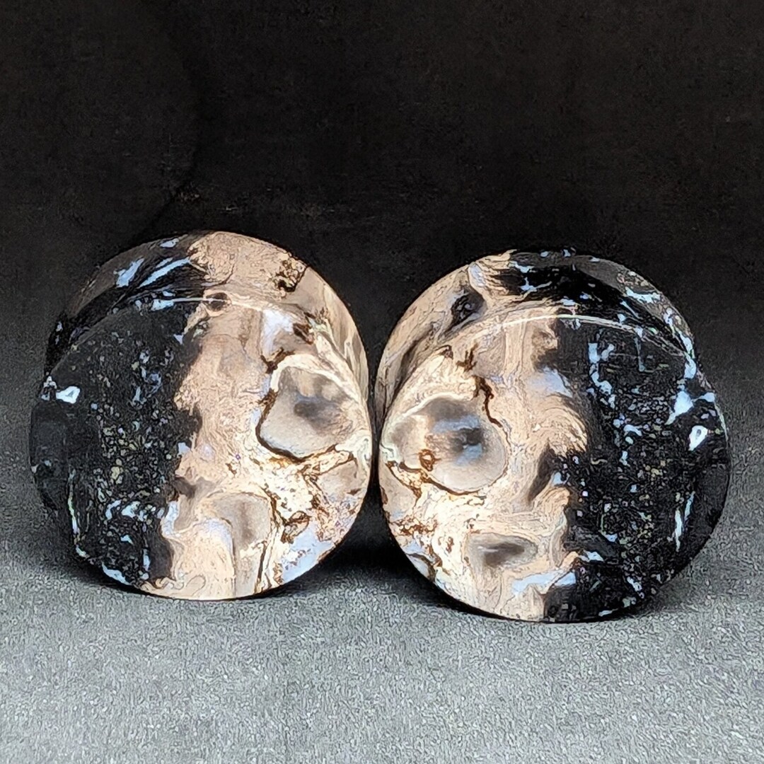 22mm ( 7\8 Inch) Petrified Palm Root Plugs for Stretched Ears by Austin ...