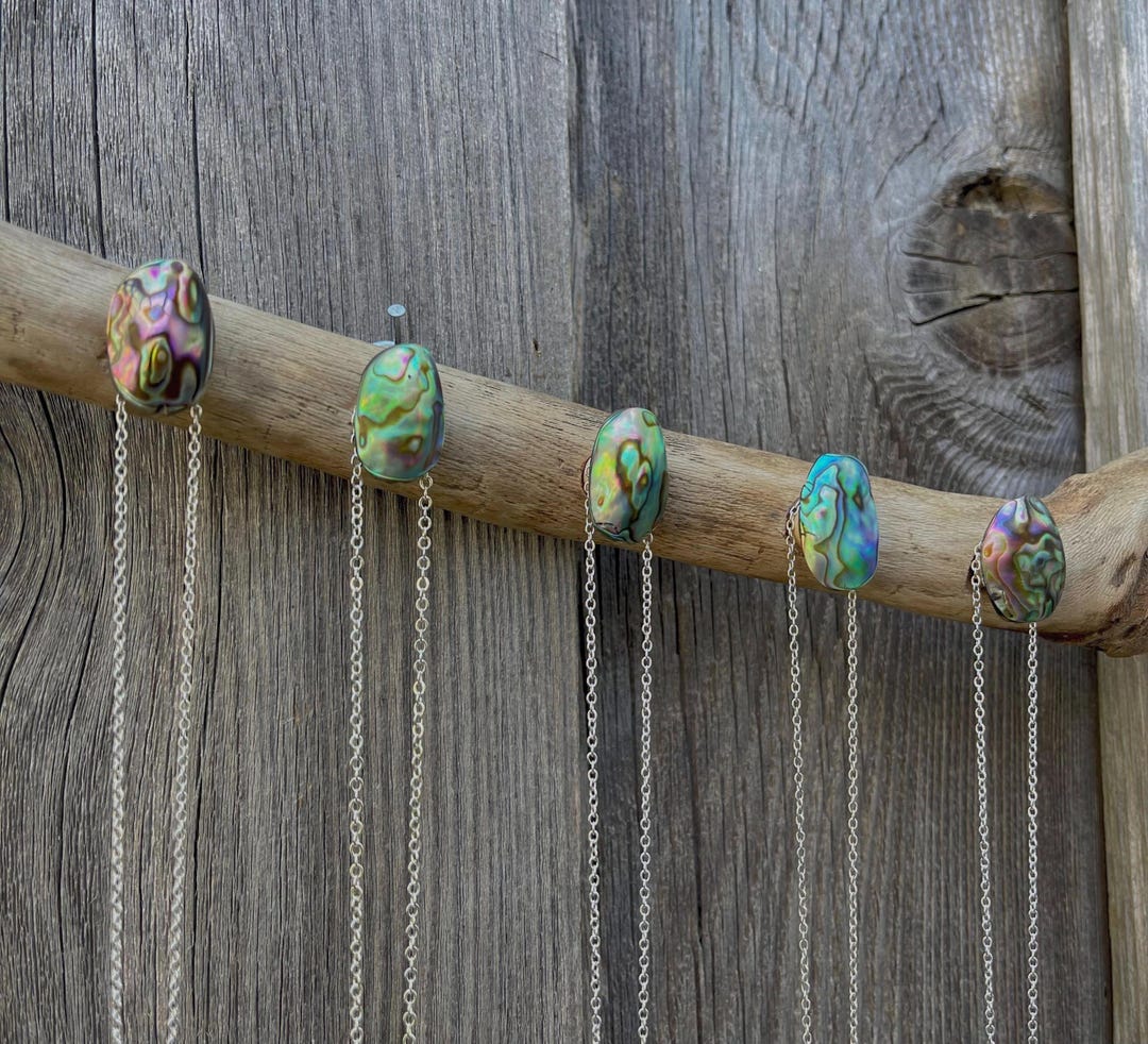 Driftwood Abalone Sea Shell Wall Necklace Hanging, Necklace Holder ...