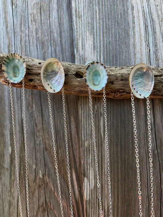 Driftwood Abalone and Limpet Sea Shell Wall Necklace Holder - Etsy