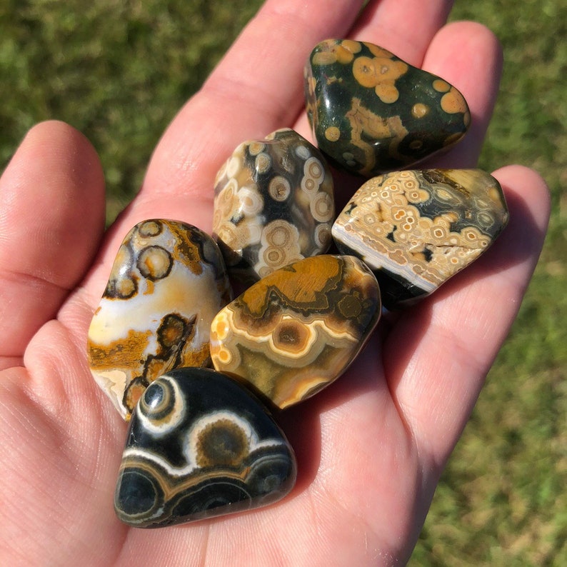 Orbicular Jasper Ocean Jasper Tumble Stone | Etsy