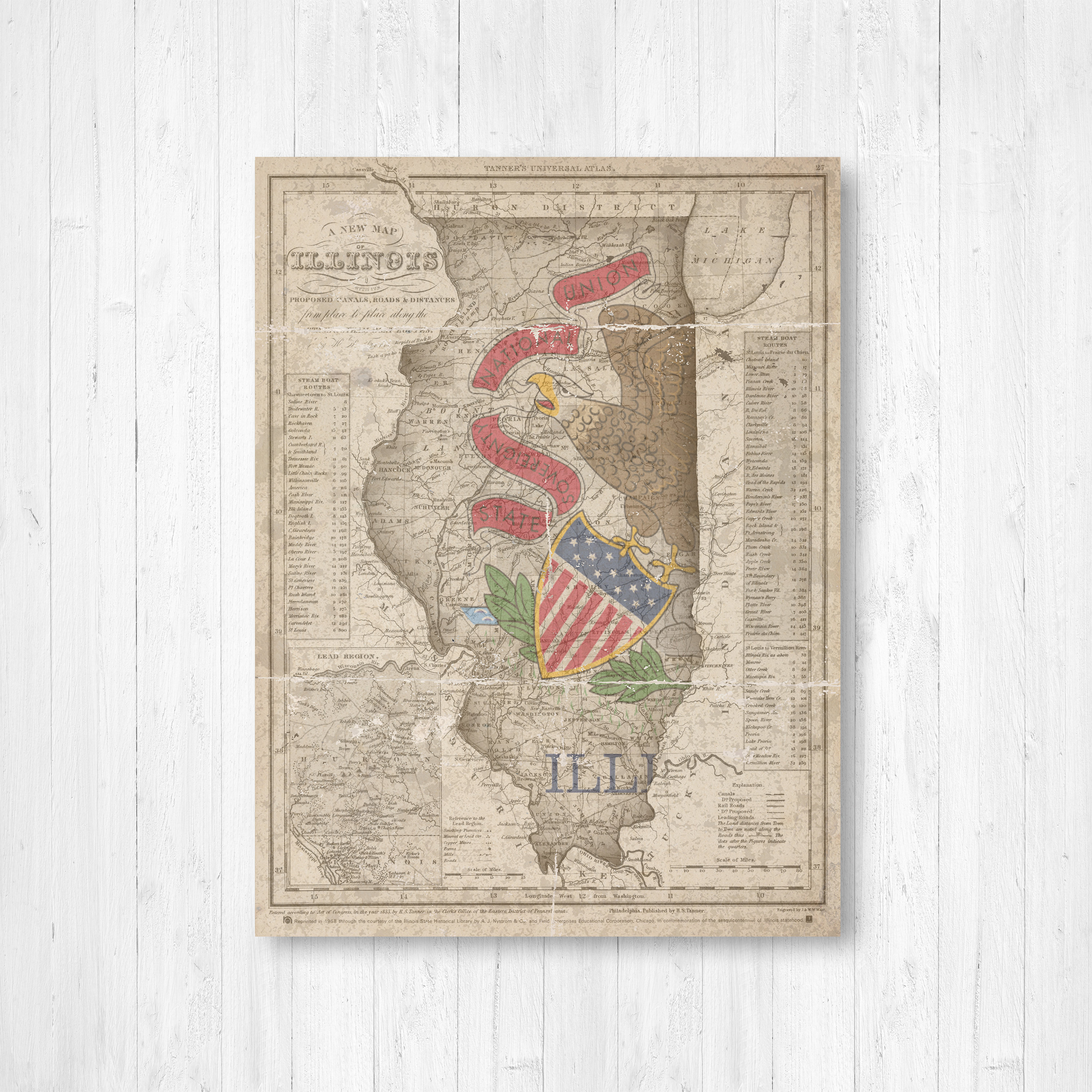 Illinois Vintage State Flag Map Print Illinois Hanging | Etsy