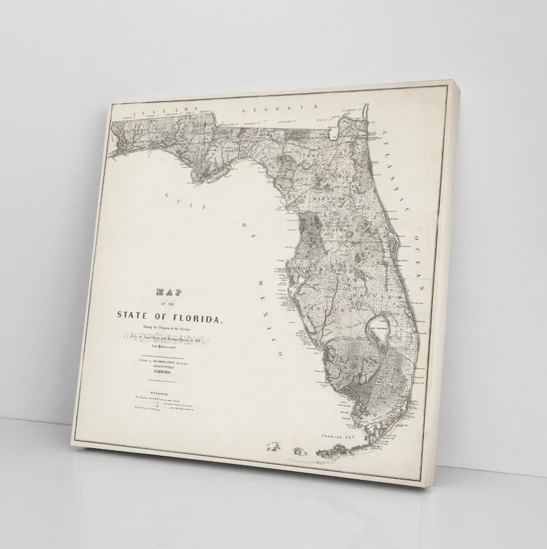 Florida Antique State Map Print Florida Canvas Map Art - Etsy