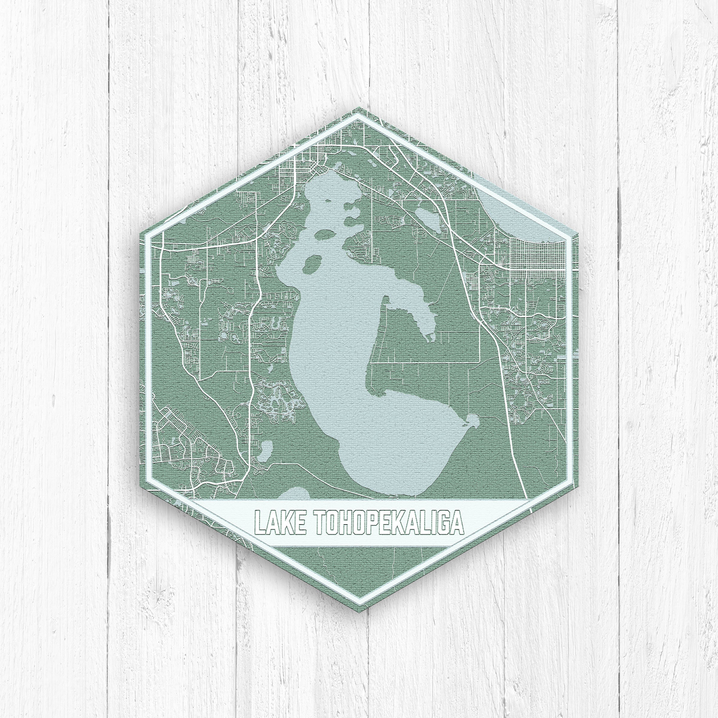 Lake Tohopekaliga Florida Hexagon Print Lake Tohopekaliga - Etsy