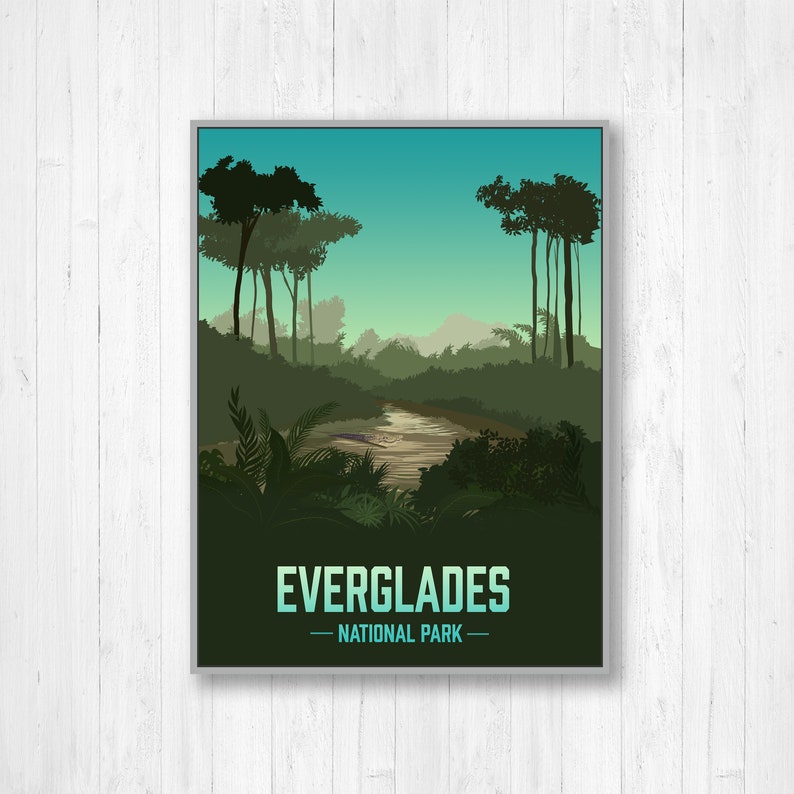 Everglades Florida National Park Modern Illustration Print - Etsy