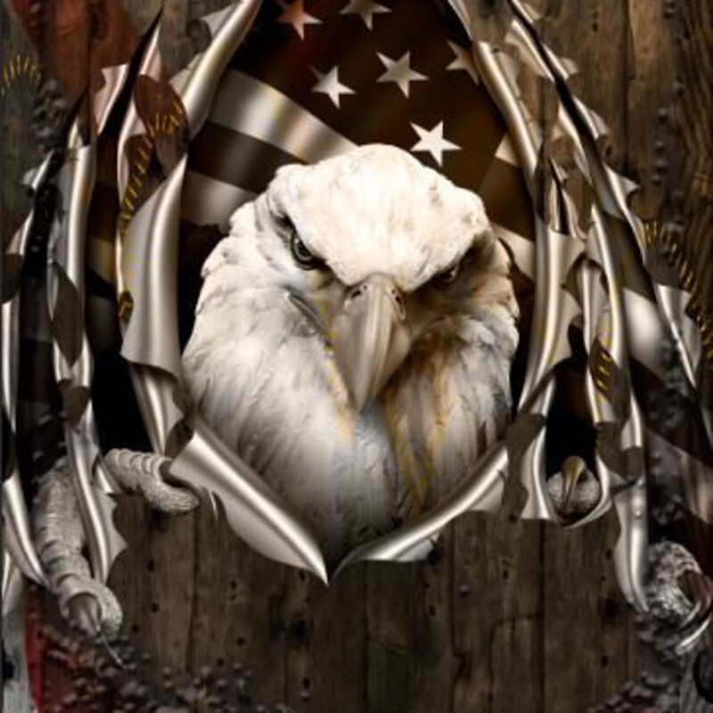 Eagle Ripping - Etsy