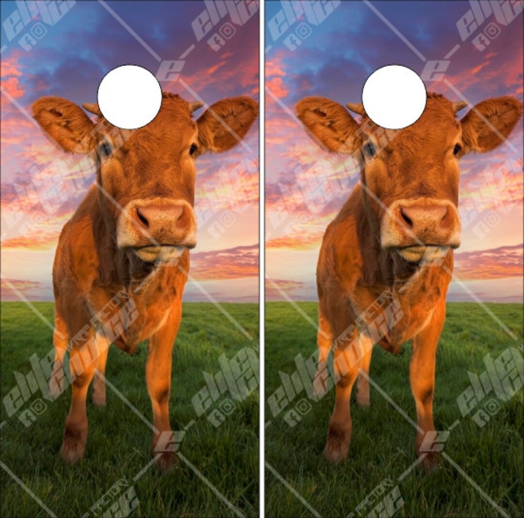 Cow Sunset Cornhole Wrap Bag Toss Decal Skin Sticker Wraps Laminated or ...