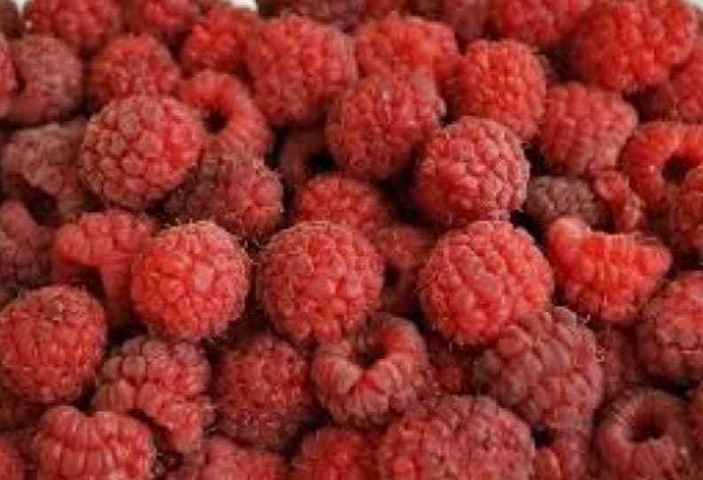 Seedless Red Raspberry Jam - Etsy