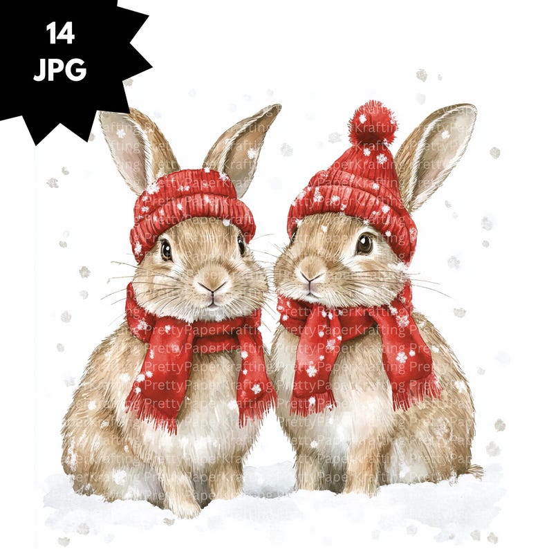 Winter Rabbit Clipart JPG, Snowy Bunny Illustration, Woodland Winter ...
