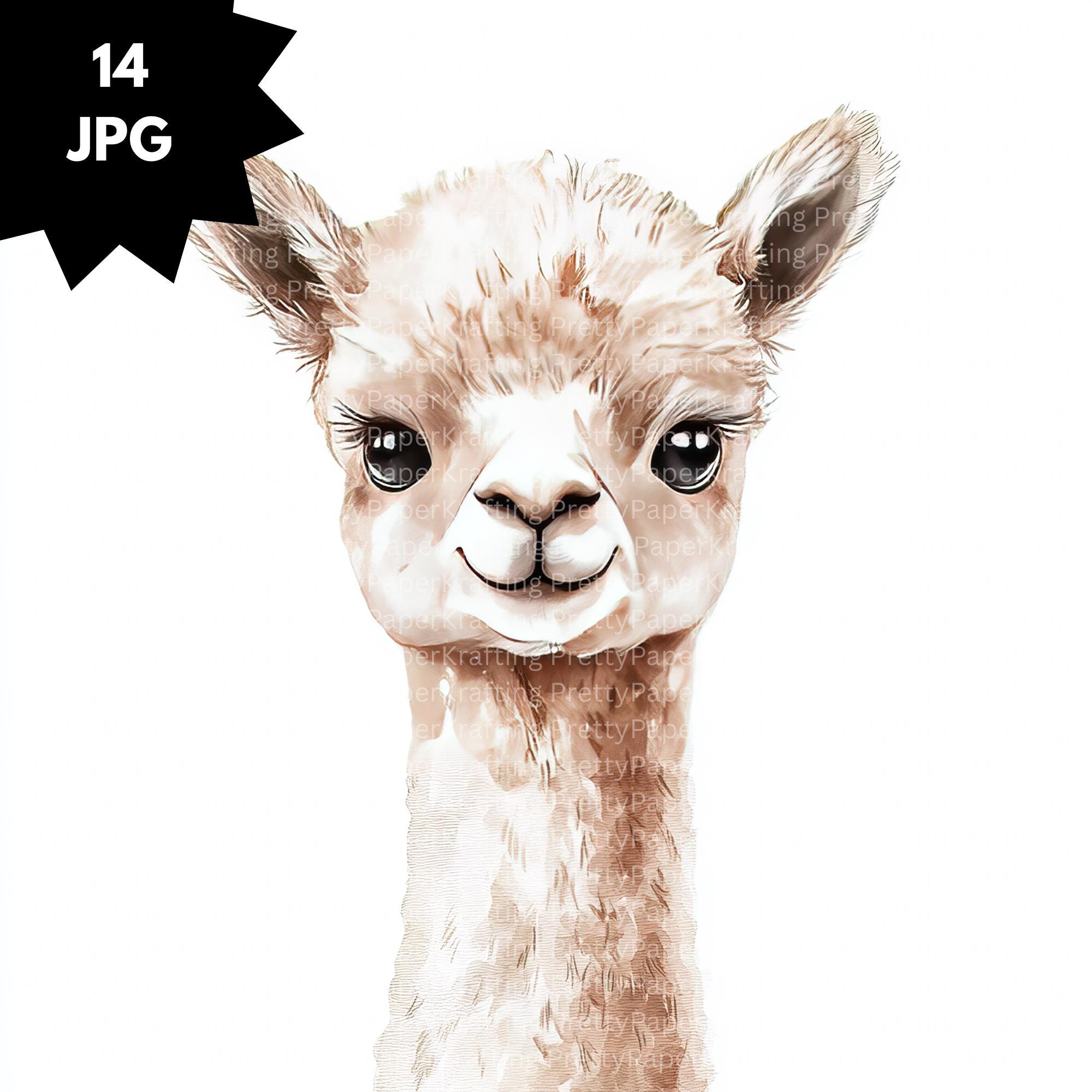 Watercolor Baby Alpaca Clipart, Cute Farm Animal, Boho Llama & Alpaca ...