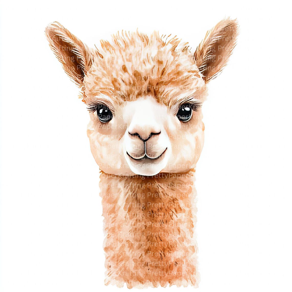 Watercolor Baby Alpaca Clipart, Cute Farm Animal, Boho Llama & Alpaca ...