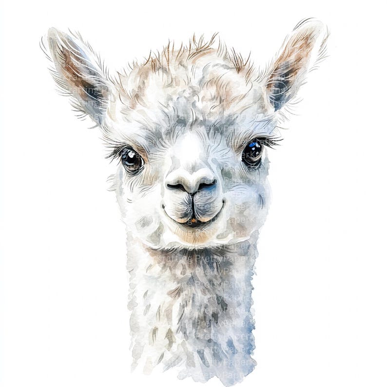 Watercolor Baby Alpaca Clipart, Cute Farm Animal, Boho Llama & Alpaca ...