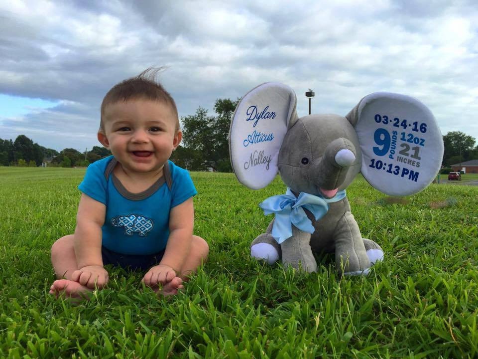 Personalized Baby Elephant-Birth Announcement-Stuffed | Etsy