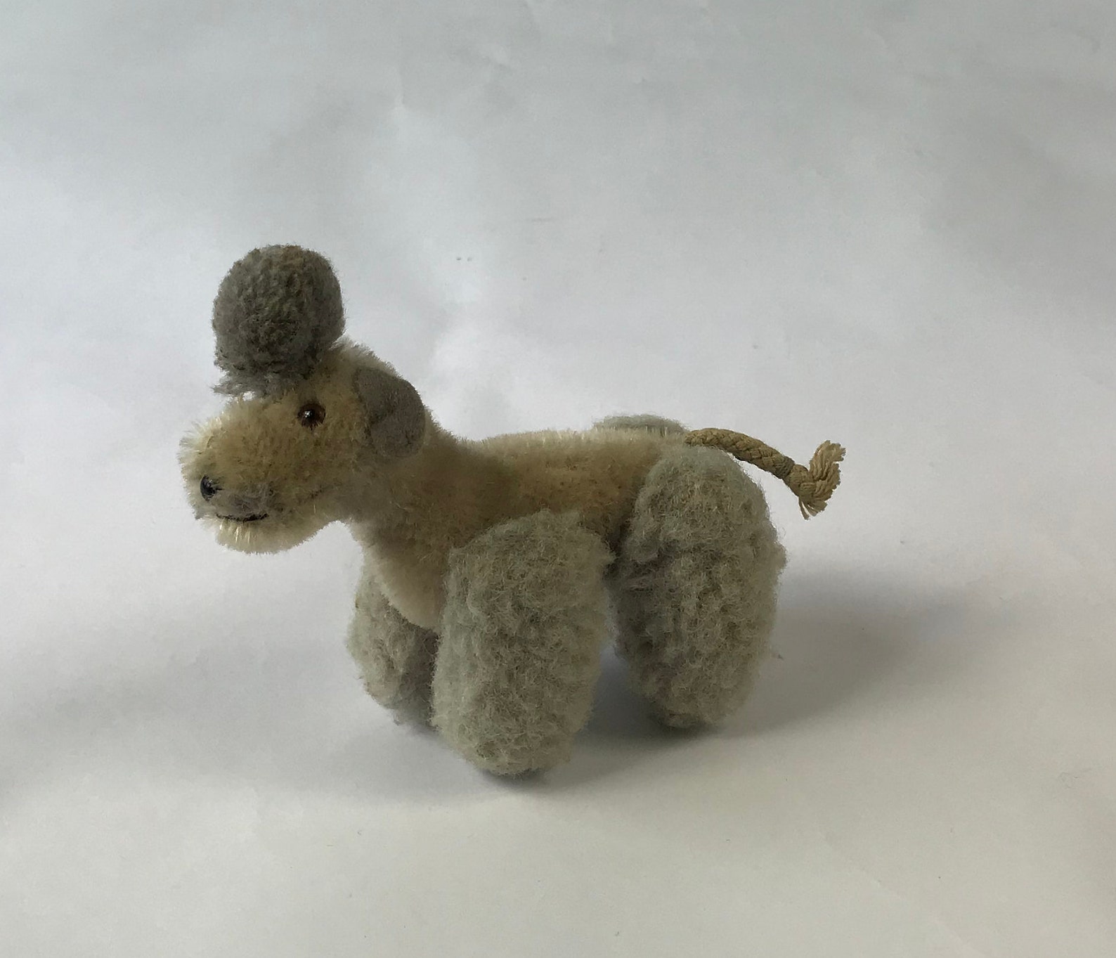 Adorable Old Steiff French Snobby Poodle. - Etsy