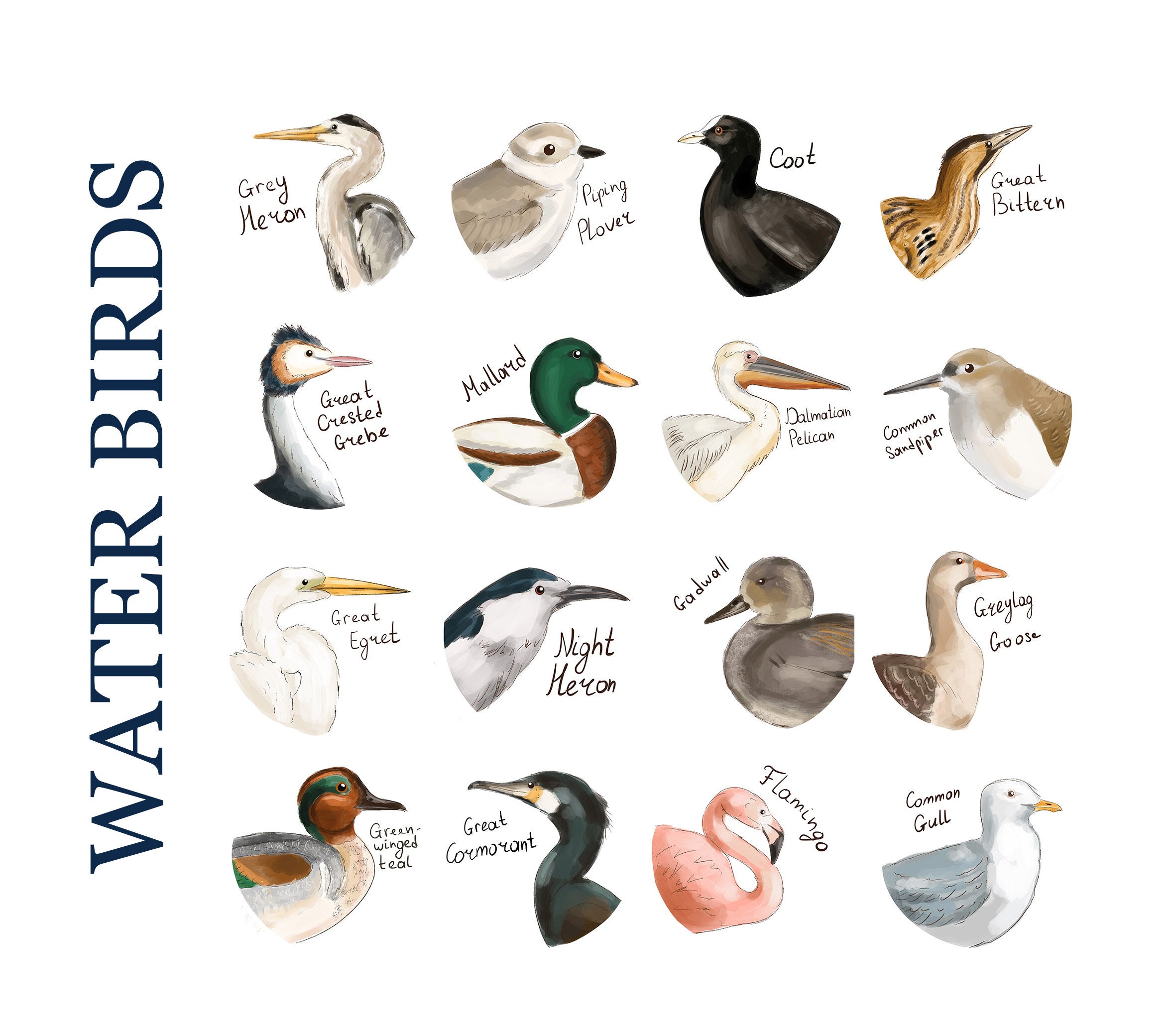 WATER BIRDS Instagram Icons. Highlight Story Icons Covers. | Etsy