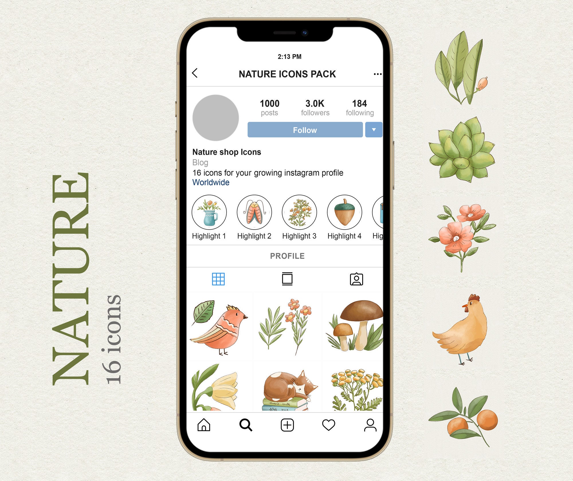 16 NATURE Instagram Icons. Highlight Story Covers. Watercolor - Etsy