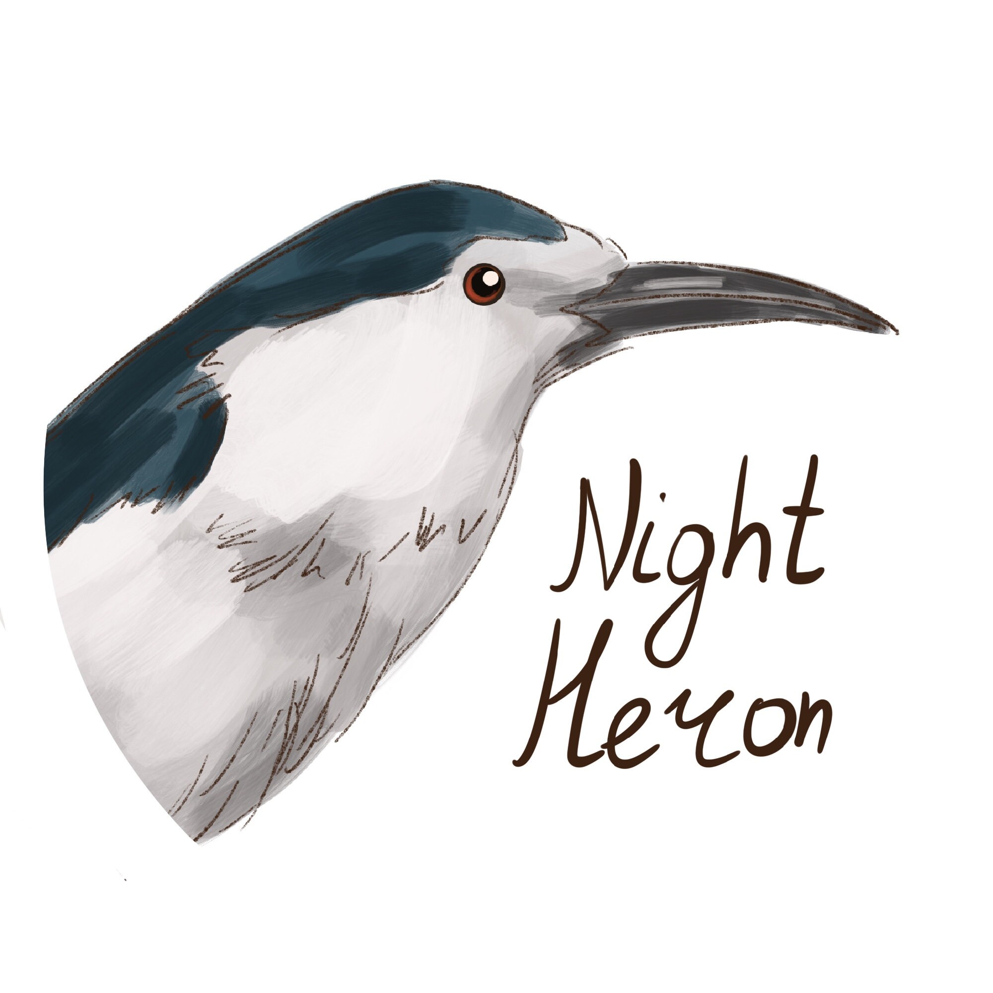 WATER BIRDS Instagram Icons. Highlight Story Icons Covers. - Etsy