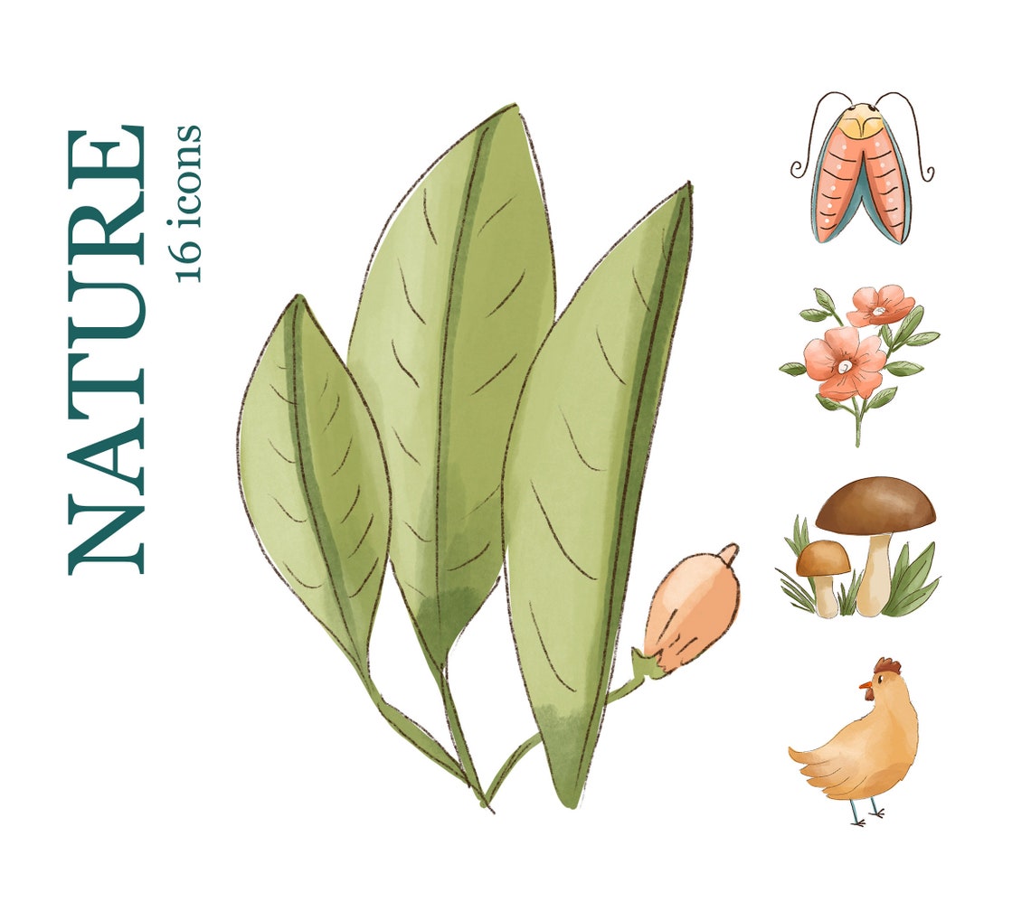 16 NATURE Instagram Icons. Highlight Story Covers. Watercolor - Etsy