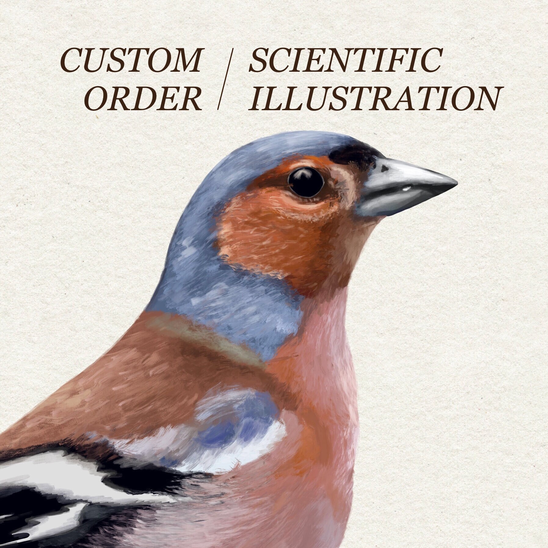 Scientific Parrot Illustration