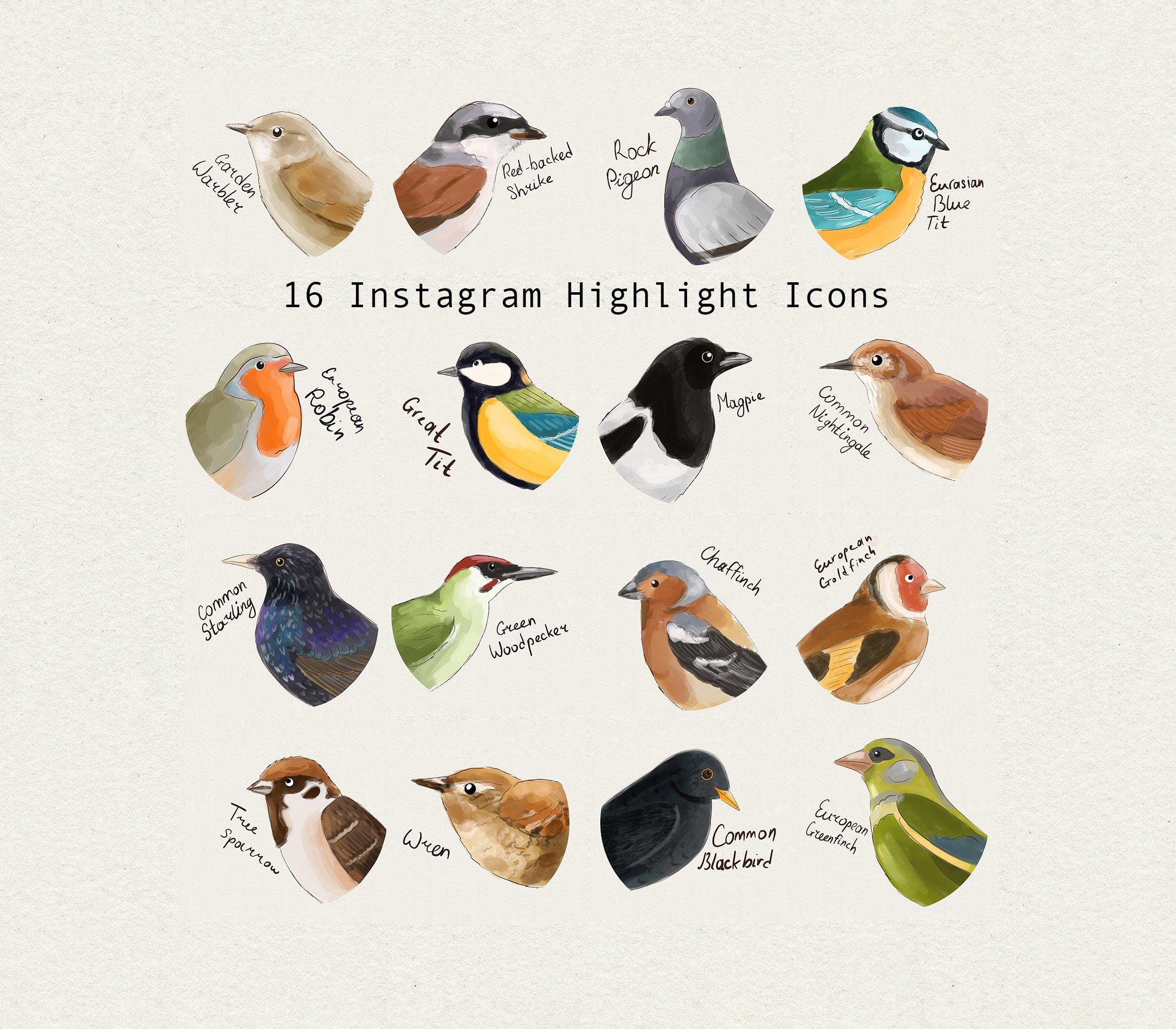 GARDEN BIRDS Instagram Icons. Highlight Story Icons Covers. | Etsy