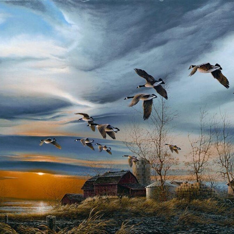 Terry Redlin Art Prints - Etsy