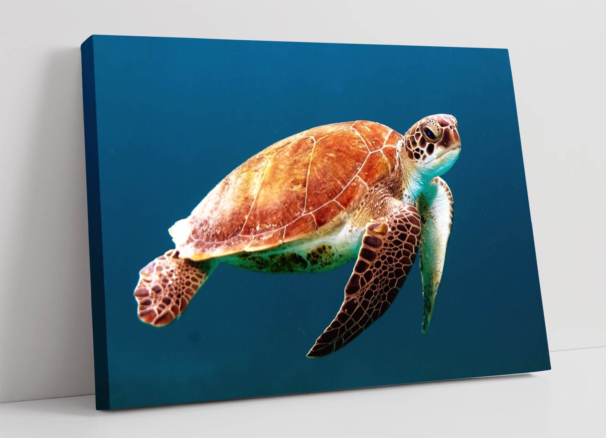 Sea Turtle 1 Canvas Wall Art Print Artwork 30mm Deep Framed Etsy