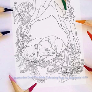free tasmanian devil coloring pages