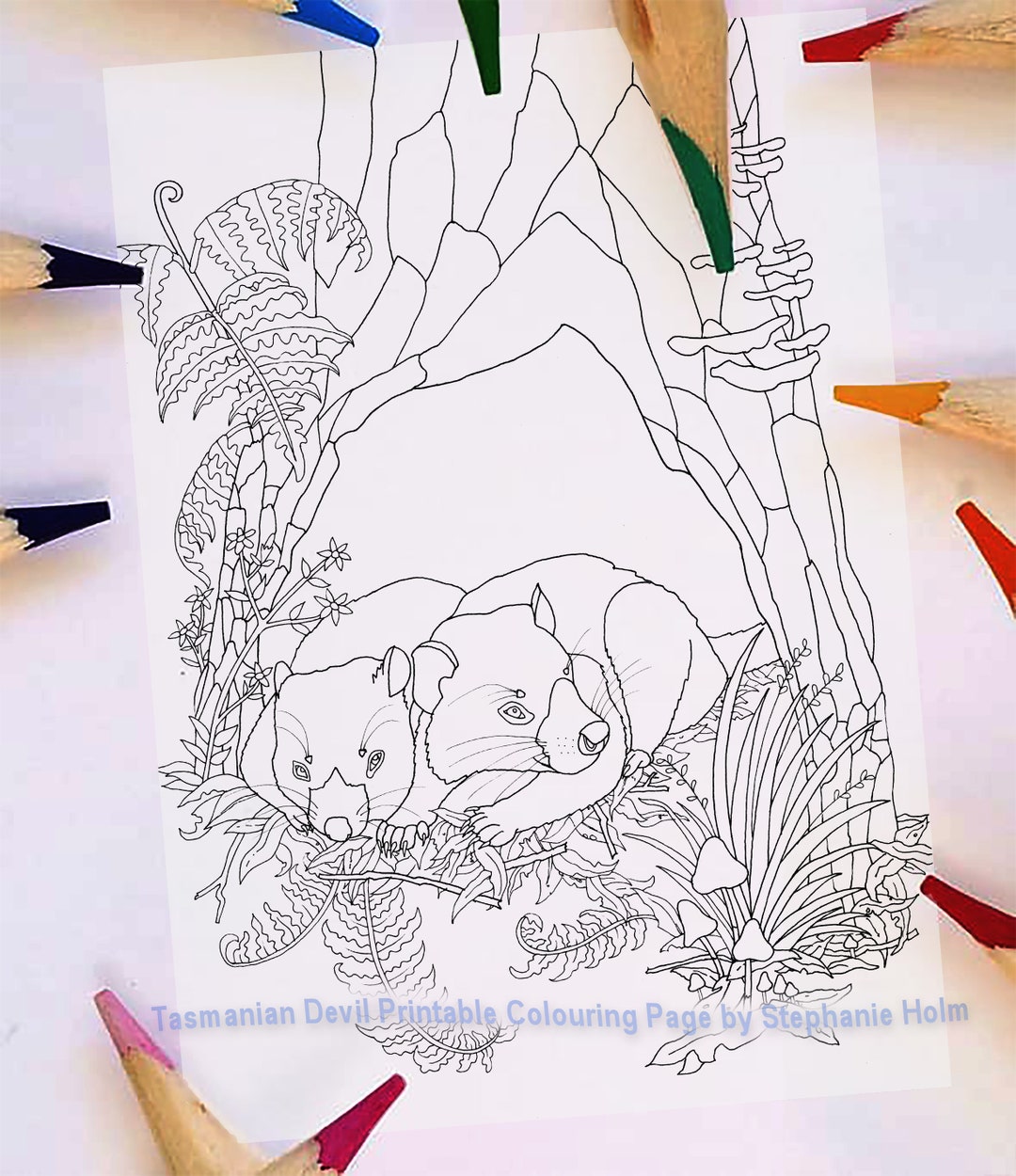 Tasmanian Devil Coloring Page - Australian Animal Natural History ...