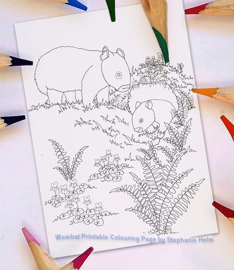 Wombat Coloring Page - Australian Animal Natural History Printable ...