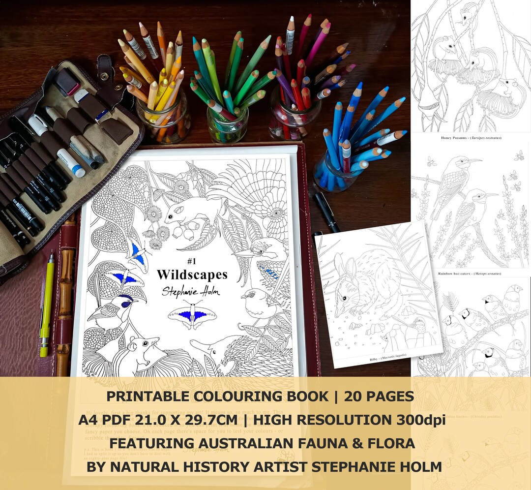 Wildscapes 1 Australian Animal Art Therapy Printable Colouring Book 20 ...