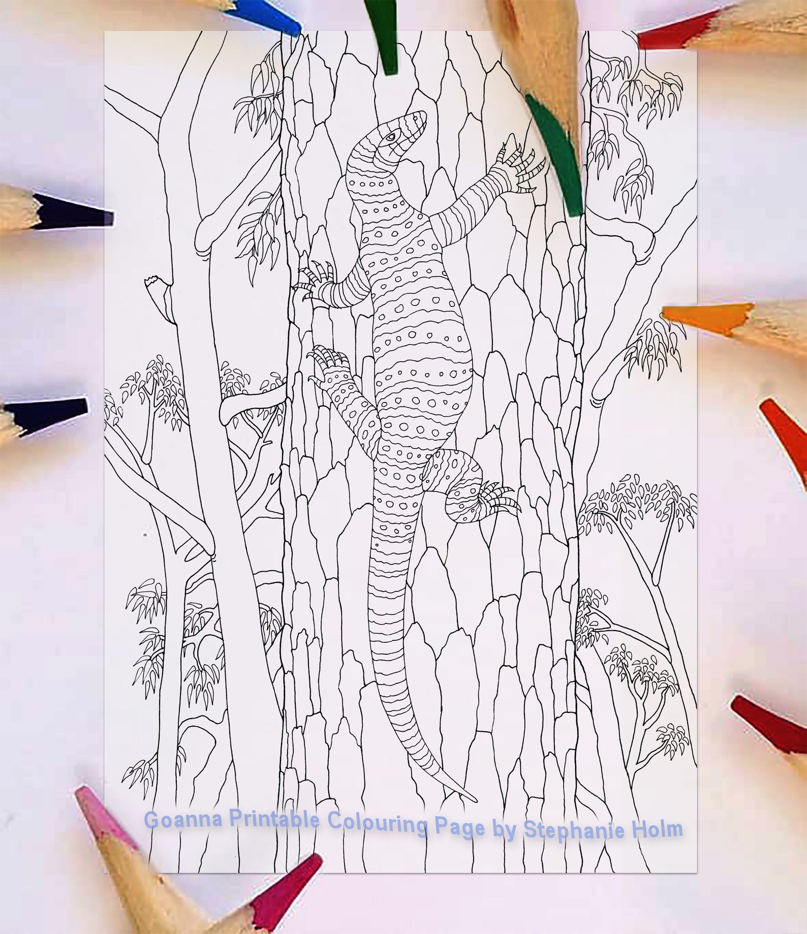 Goanna Lizard Colouring Page Australian Animal Natural History ...