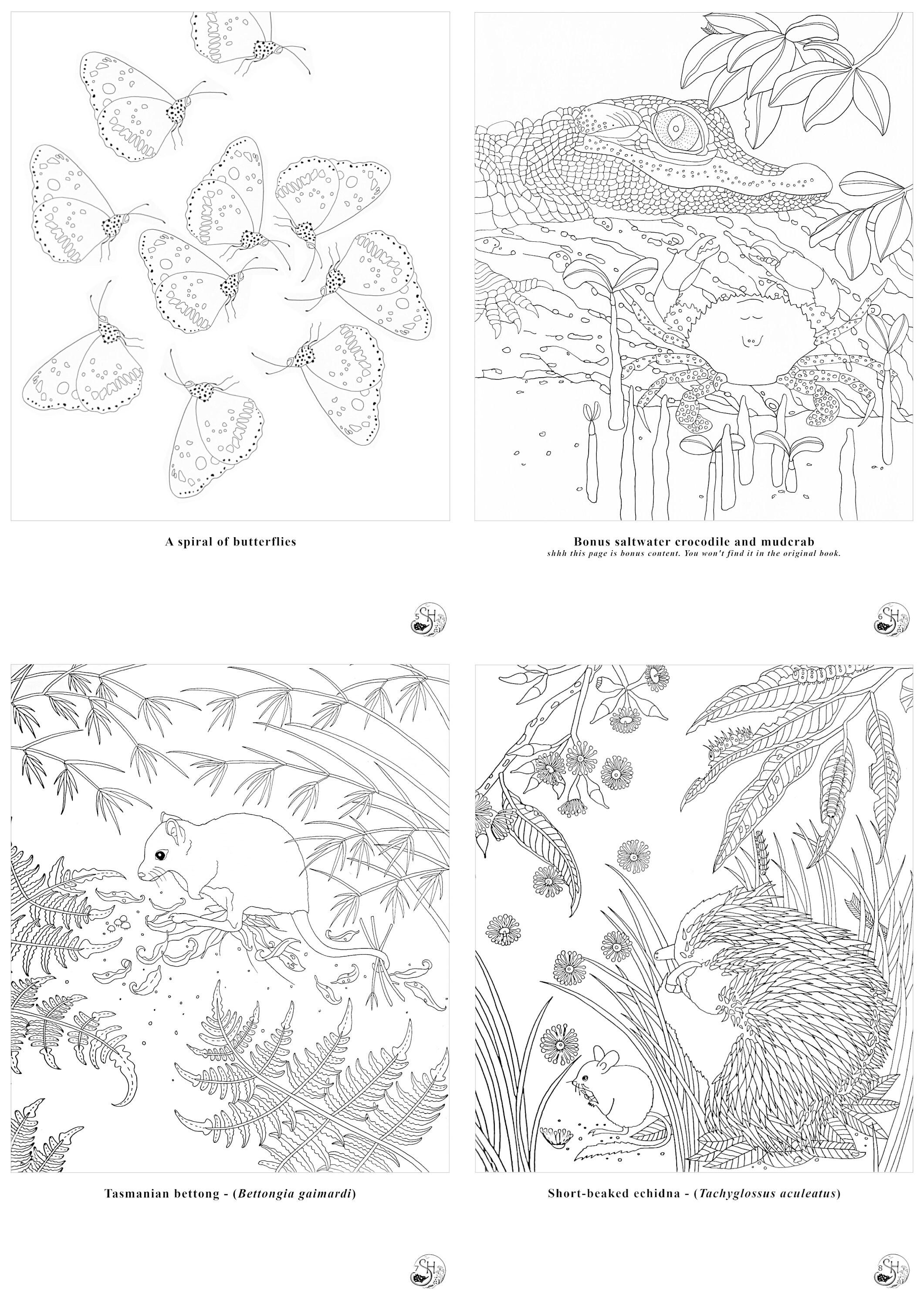 Wildscapes #3 Printable Animal Coloring Book - 20+ Detailed Australian ...