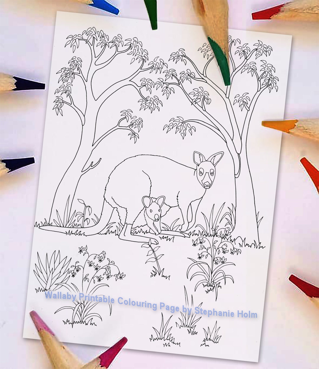 Wallaby & Joey A4 Printable Colouring Page - Australian Animal Nature ...