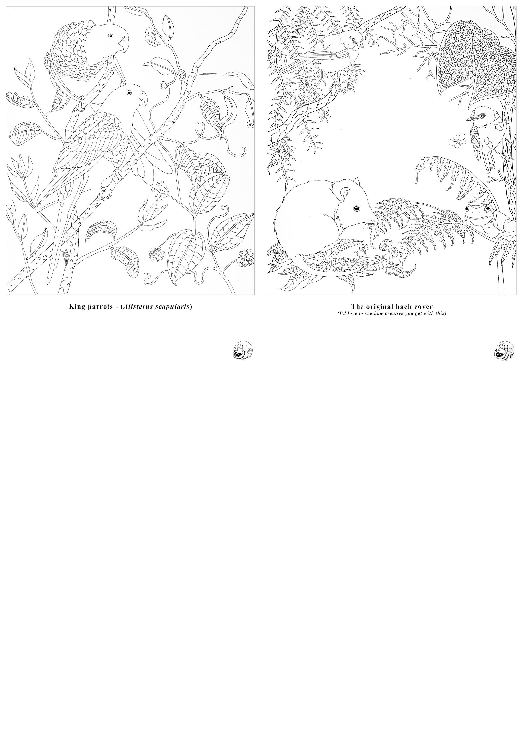 Wildscapes #3 Printable Animal Coloring Book - 20+ Detailed Australian ...