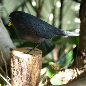 Wooden Blackbird on Log Hand Carved & Painted - Etsy