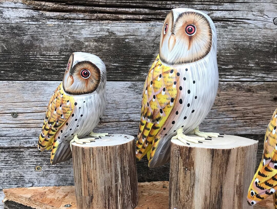 Wooden Owl on Log - Hand Carved & Painted - Etsy