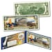 America the Beautiful COLORIZED Parks Quarter Issued 2020-2021 6 Coin ...