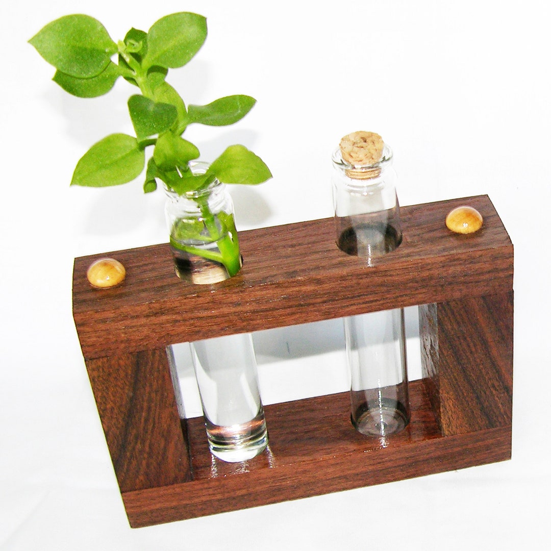 Glass Rooting Planting Tubes Garden Wood Display Propagating - Etsy